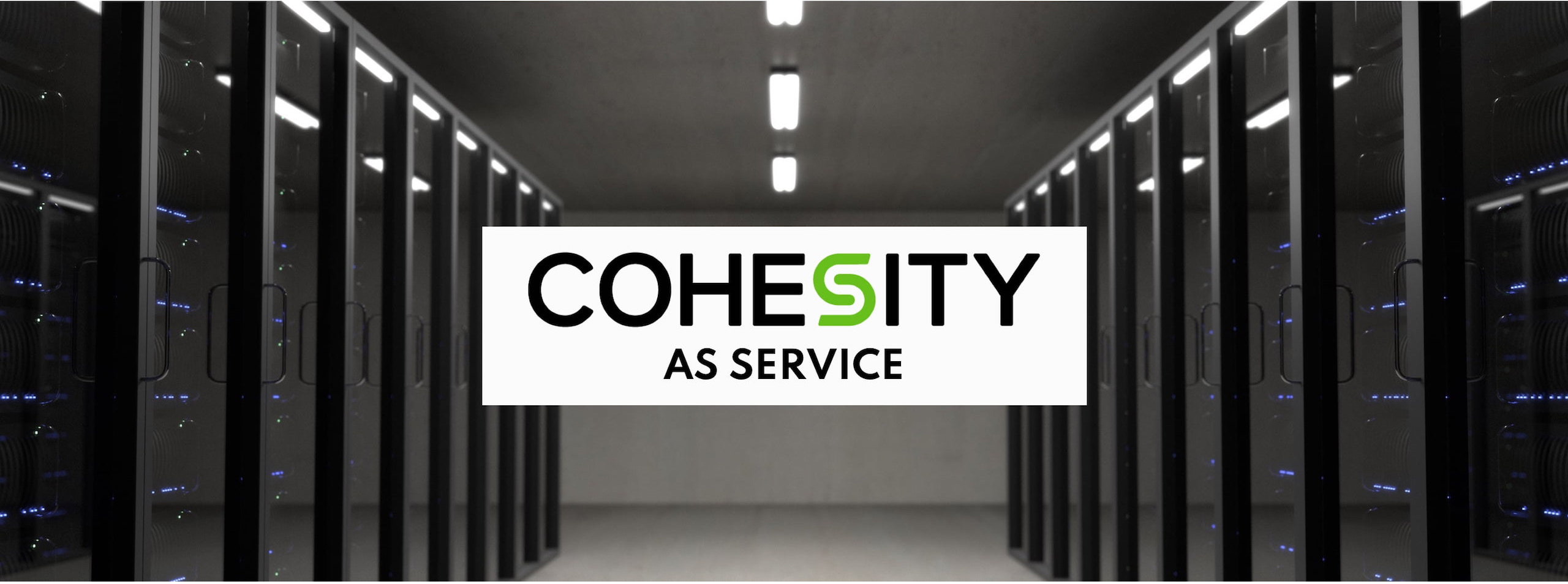 Découvrez notre offre cloud Cohesity as a Service | Meanquest